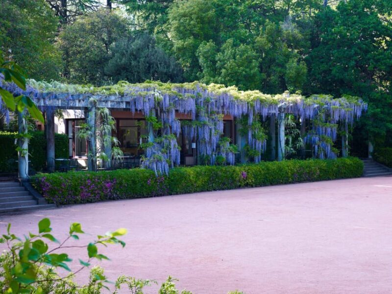 Porto: Serralves Foundation All Access Pass - FAQ