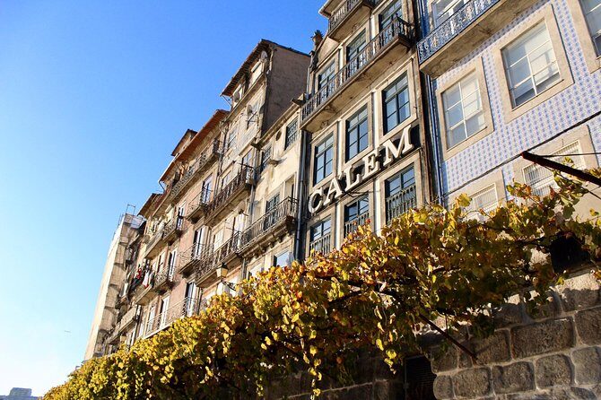Porto Small Group Walking Tour with Lello Bookshop - Who Will Love This Tour?