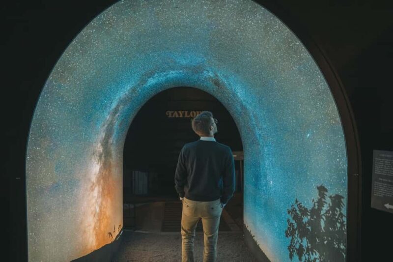 Porto: Taylors Port Cellar Tour & WOW The Wine Experience - What to Expect from This Porto Wine Tour