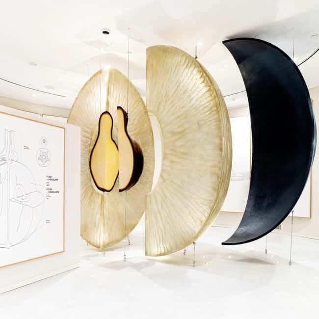 Porto: Taylors Port Cellar Tour & WOW The Wine Experience - Who Is This Tour Best For?