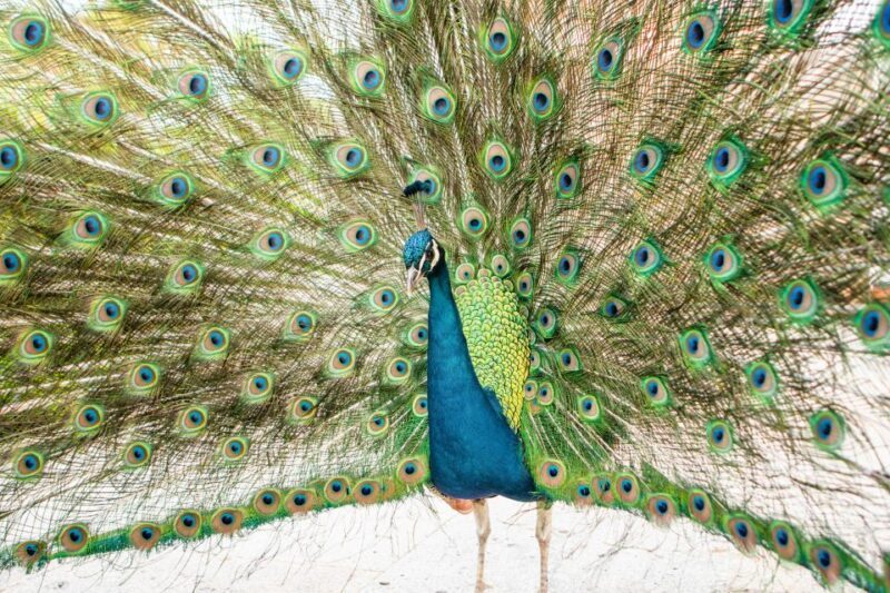 Porto: Taylor's Port Cellars & Tasting - An Introduction to Taylor’s Port Cellars & Tasting Experience