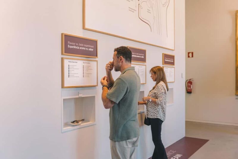 Porto: The Wine Experience, Best Wine Museum in the World - Key Points