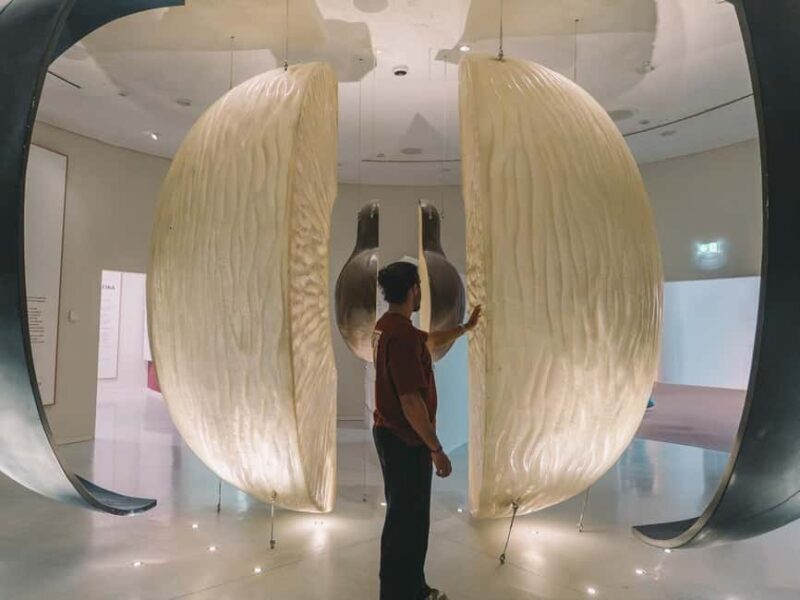 Porto: The Wine Experience, Best Wine Museum in the World - What to Expect from The Wine Experience in Porto