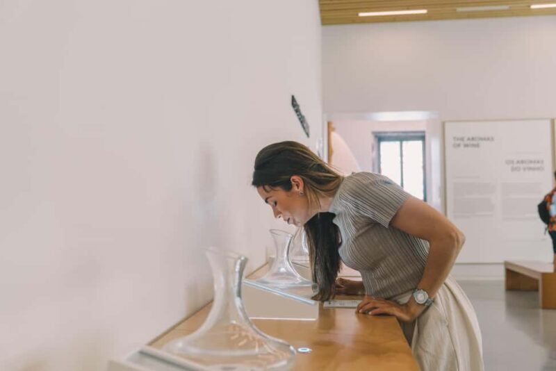 Porto: The Wine Experience, Best Wine Museum in the World - The Value of the Experience