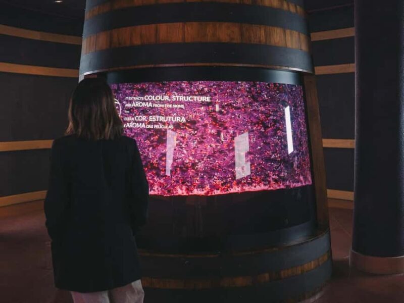 Porto: The Wine Experience, Best Wine Museum in the World - The Sum Up
