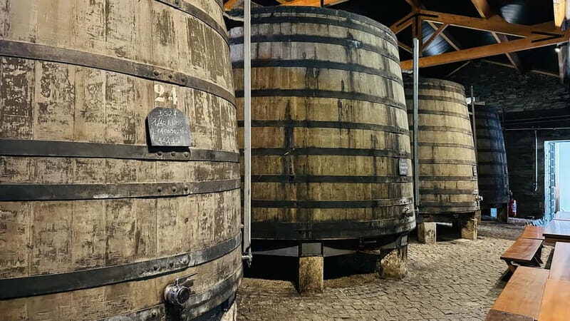 Porto to Gaia Experience: City Walk and Wine Cellars - Who Would Love This Tour?