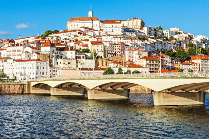 Porto to Lisbon up to 5 stops Aveiro Coimbra Fátima Nazaré Óbidos - Who Is This Tour Best For?