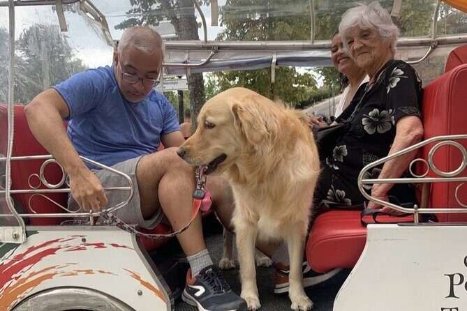 Porto: tuk tuk adventure tours old town 1h - The Final Highlight: Miradouro Serra Do Pilar  