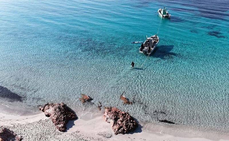 Porto-Vecchio: beginner diving in the Cerbicale Islands in the reserve - Key Points