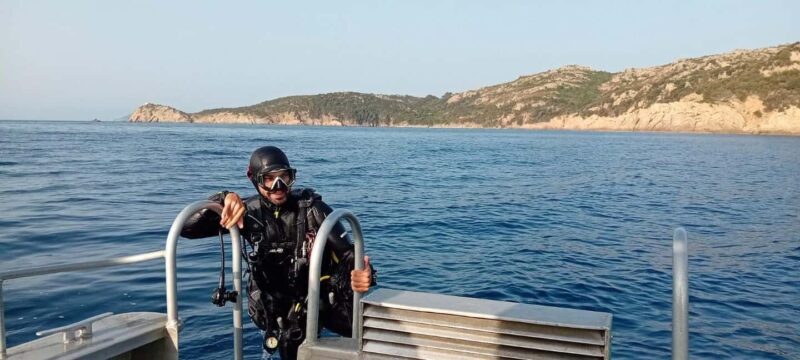 Porto-Vecchio: beginner diving in the Cerbicale Islands in the reserve - The Experience: What to Expect from Start to Finish