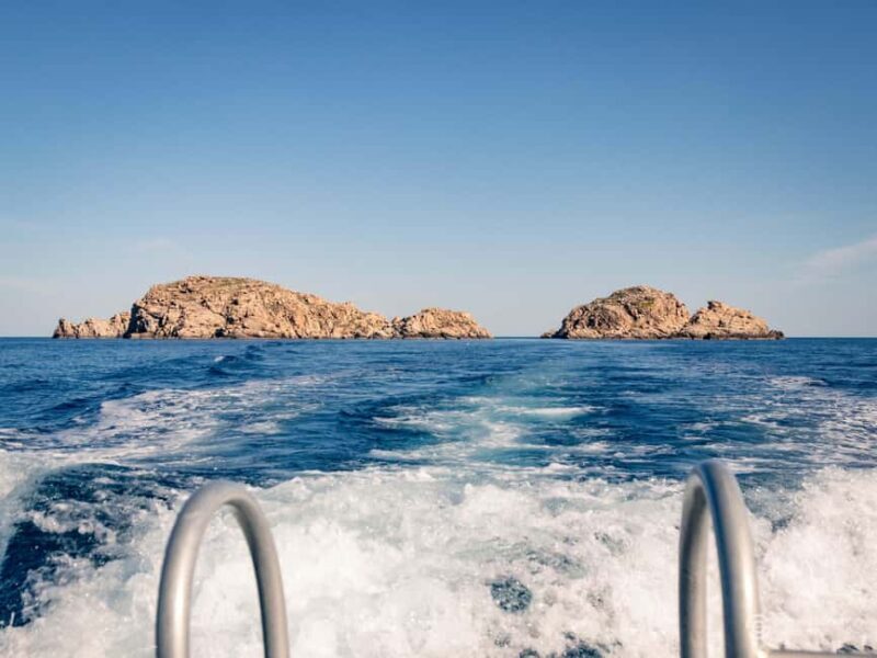 Porto-Vecchio: beginner diving in the Cerbicale Islands in the reserve - The Sum Up