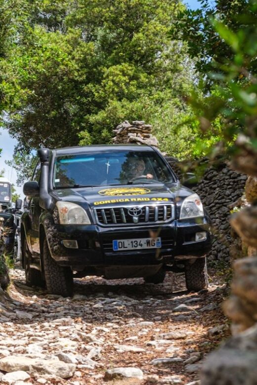 Porto Vecchio: Cuscionu Plateau & Alta Rocca 4x4 Tour - An In-Depth Look at the Porto Vecchio 4x4 Tour Experience