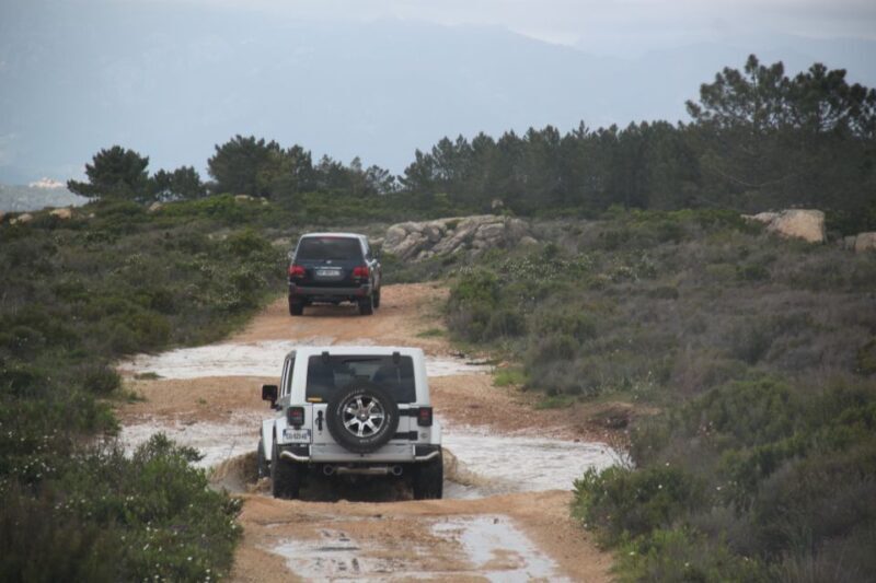 Porto Vecchio: Cuscionu Plateau & Alta Rocca 4x4 Tour - FAQs