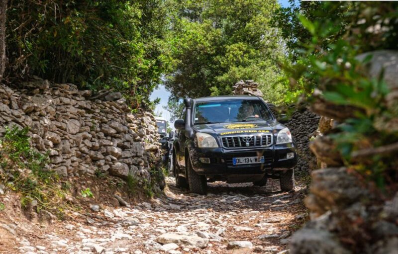 Porto Vecchio: Cuscionu Plateau & Alta Rocca 4x4 Tour - Final Thoughts
