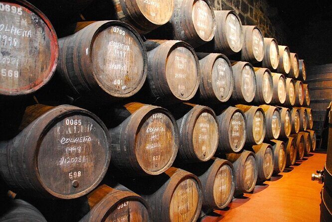 Porto: Visit and Wine Tasting at Taylor's Port Cellar - Key Points