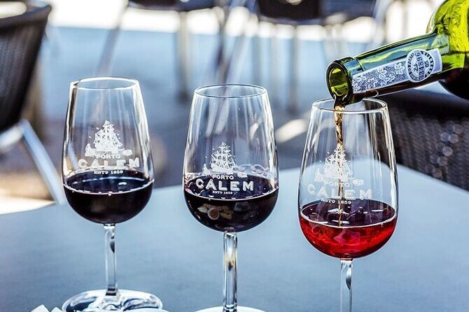 Porto: Visit and Wine Tasting at Taylor's Port Cellar - What to Expect from the Tour