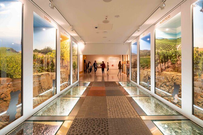 Porto: Wine Experience Museum with 3 Wine Tastings - Practical Details and Tips