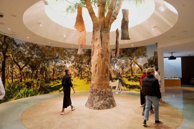 Porto: WOW Daily Ticket: Explore, taste & enjoy in 2 days - Who Should Consider This Tour?