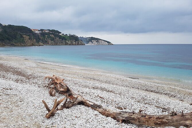 Portoferraio Walking Tour with Guide 2 Hours - What Makes this Tour Stand Out