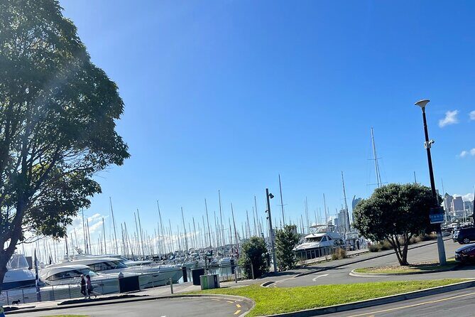 Ports Of Auckland Private Highlights Tour To Auckland Airport - Final Thoughts