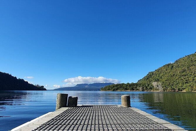 Ports of Tauranga/Rotorua/Tga - 6 Hours Rotorua Highlights Tour - Key Points