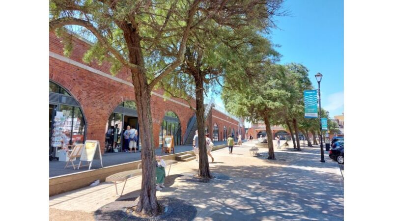 Portsmouth: Portsmouth of the Past Walking Tour - Key Points