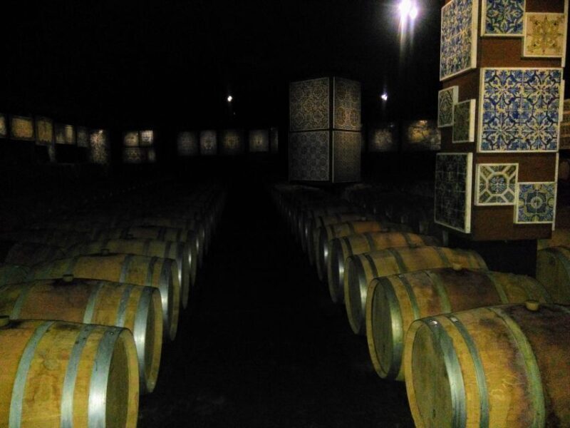 Portuguese Tiles and Wine History - Private Tour - Who Will Love This Tour?