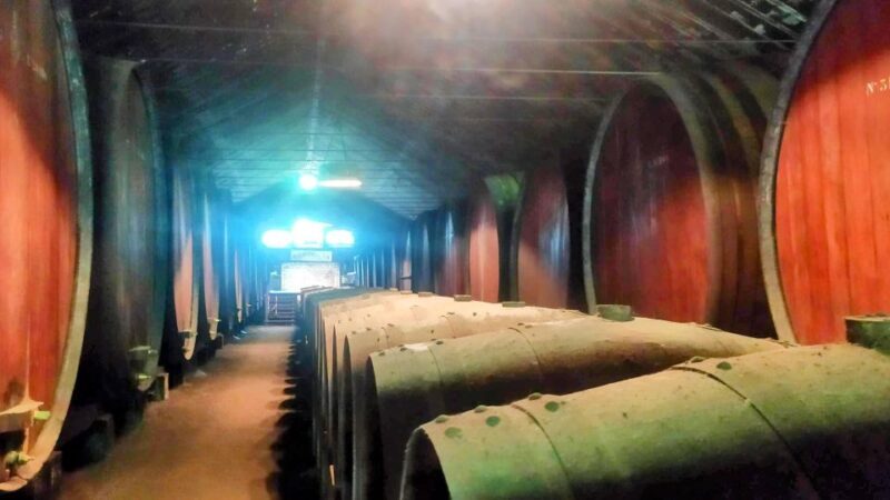 Portuguese Wine History & Amazing Landscape - Exploring the Day in Detail