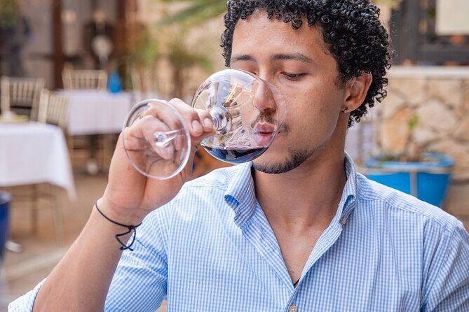 Portuguese Wine Tasting& Tapas in the heart of Faro - Final Thoughts