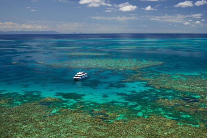 Poseidon Outer Great Barrier Reef Snorkeling and Diving Cruise from Port Douglas - What Makes This Tour Stand Out?