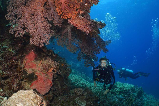 Poseidon Outer Great Barrier Reef Snorkeling and Diving Cruise from Port Douglas - FAQs