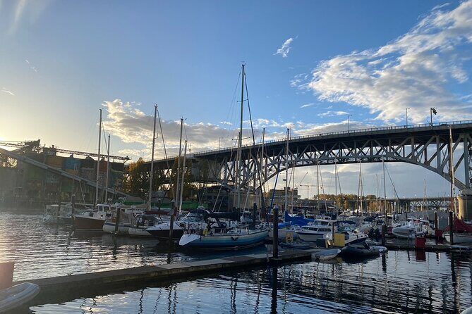 Post Cruise Vancouver Private Car Tour - Exploring Vancouver in Style: A Deep Dive into the Tour