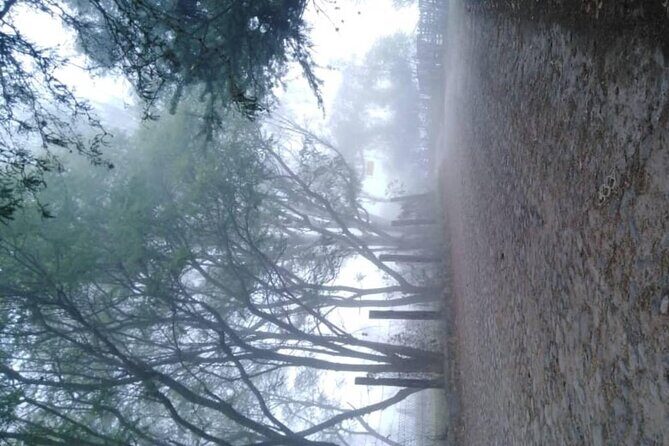 Practice your Spanish and let's go hiking! - Final Thoughts