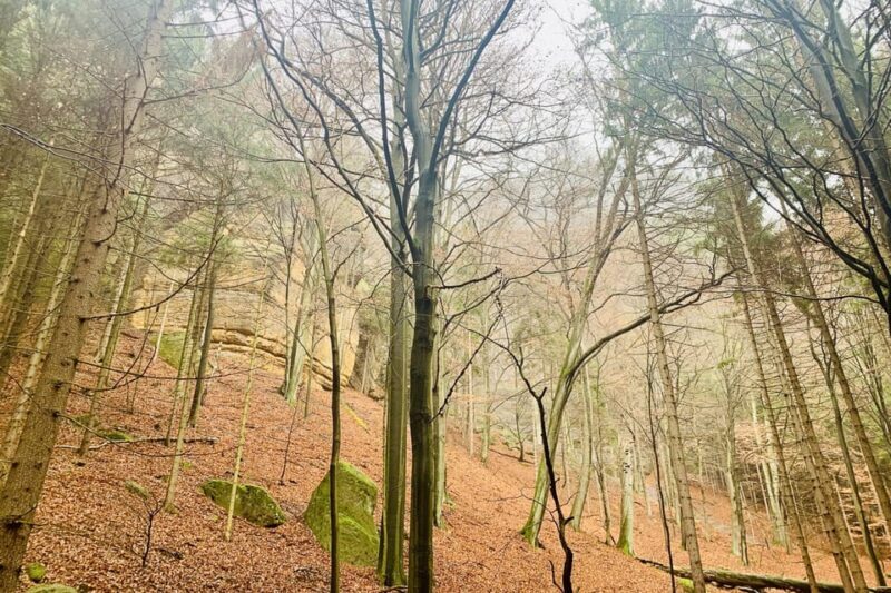 Prague: All-inclusive trip to Bohemian and Saxon Switzerland - Who Is This Tour Perfect For?