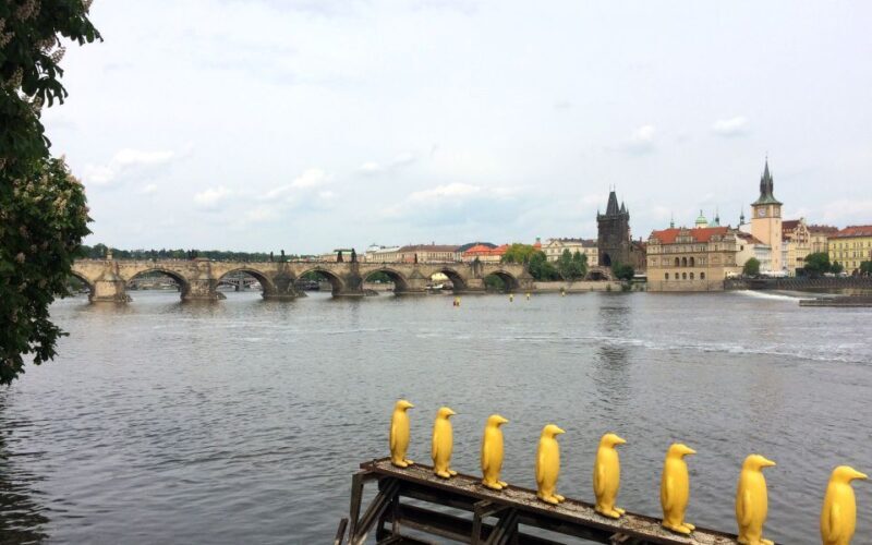 Prague: Classic City Bike Tour - What You Can Expect: A Well-Rounded Ride