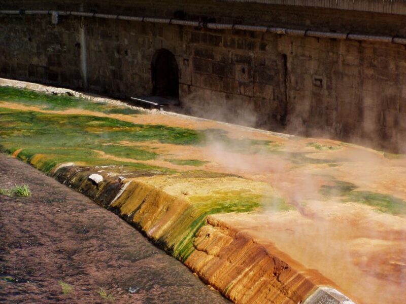 Prague: Karlovy Vary Tour with Lunch and Moser Museum Visit - Key Points