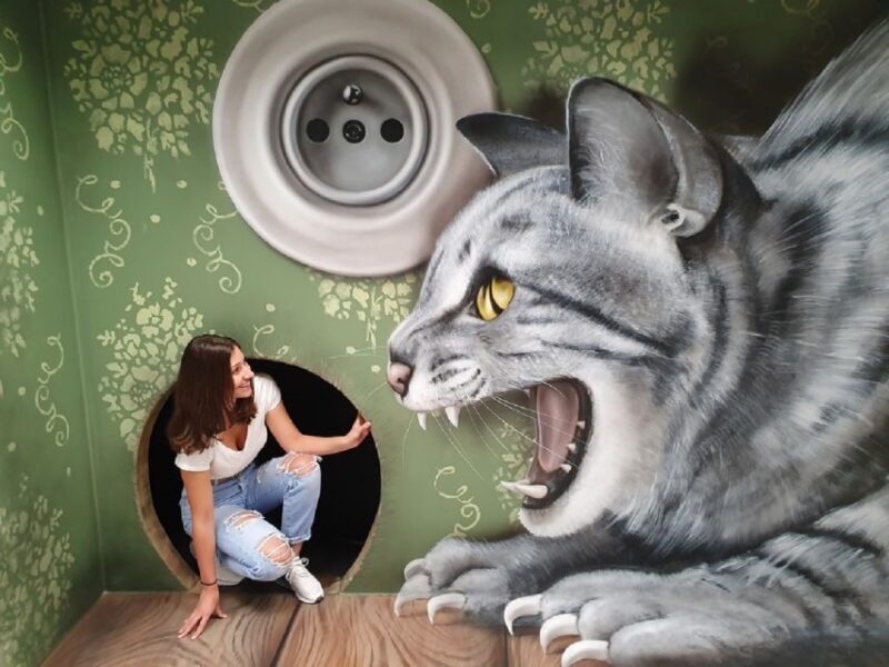 Prague: Museum of Fantastic Illusions Entry Ticket - The Sum Up