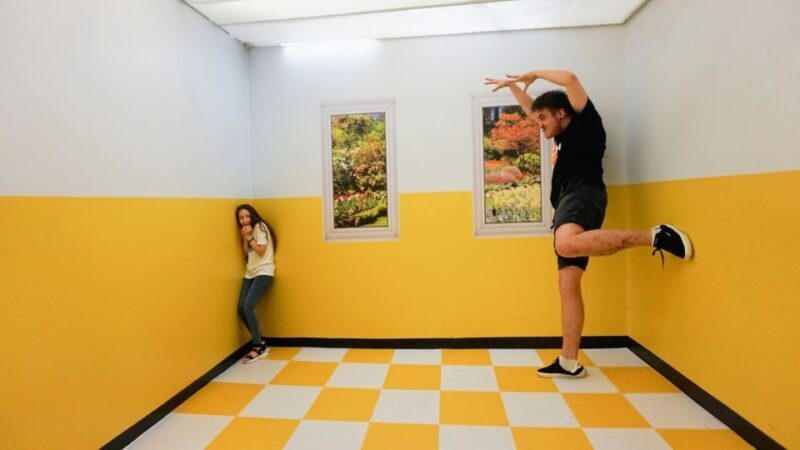 Prague: Museum of Senses Admission Ticket - The Itinerary in Detail