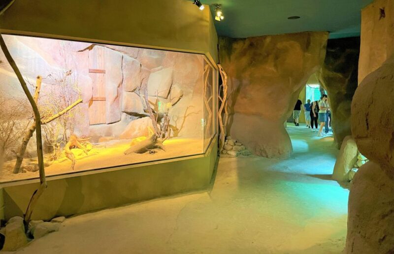 Prague: Prague Zoo Audio Guide with E-Ticket - Detailed Breakdown of the Experience