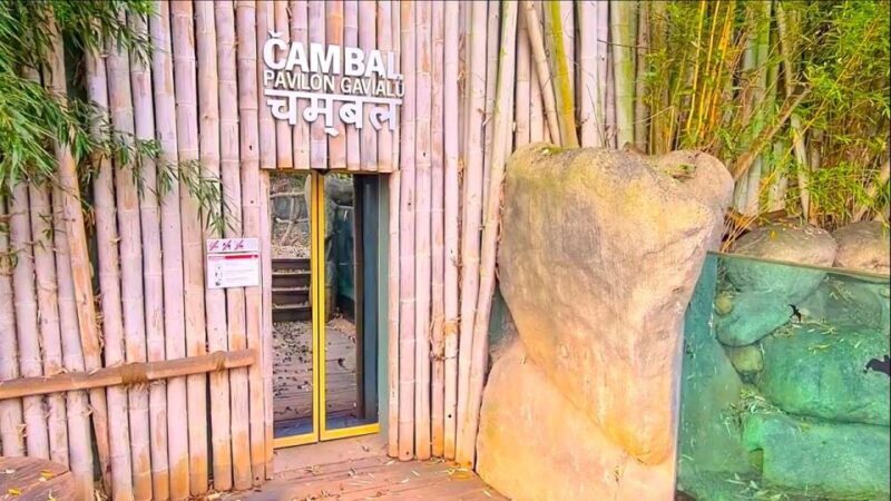 Prague: Prague Zoo Audio Guide with E-Ticket - Frequently Asked Questions