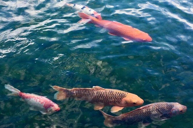 Prague Renaissance & Baroque Gardens Walking Tour - Is This Tour Right for You?  