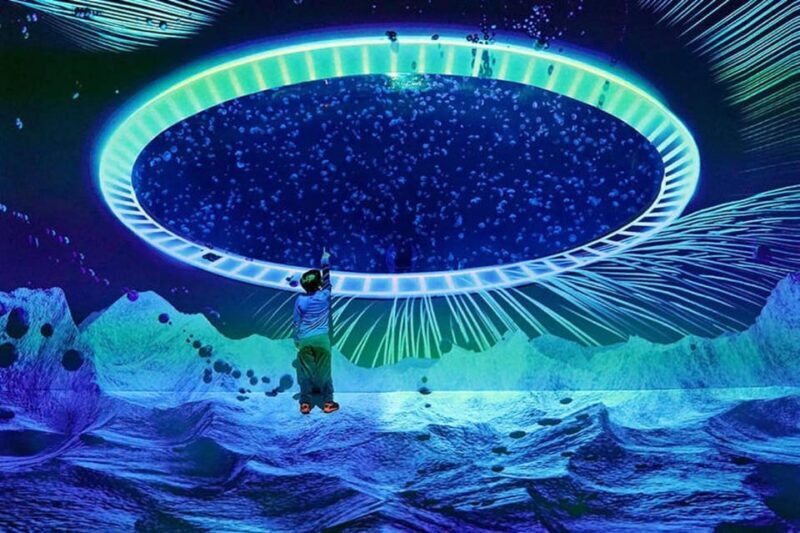 Prague: The World Of Jellyfish Entry Ticket w/ Drink - The Experience and Its Drawbacks