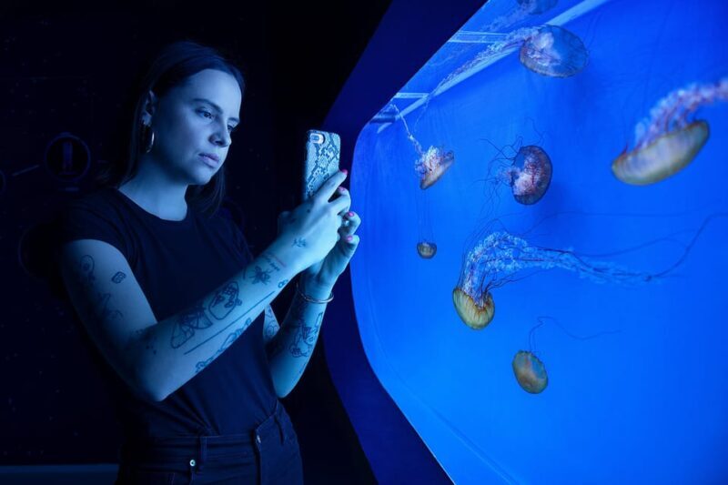 Prague: The World Of Jellyfish Entry Ticket w/ Drink - Final Thoughts