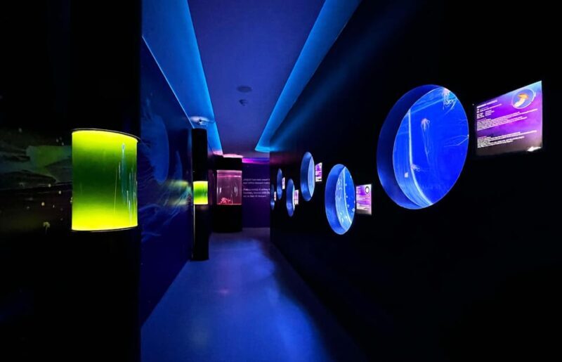 Prague: The World Of Jellyfish Entry Ticket w/ Drink - FAQs