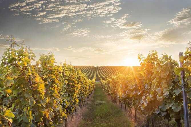 Prague-Vienna One-Way Sightseeing Day Tour - Exploring the Itinerary in Detail