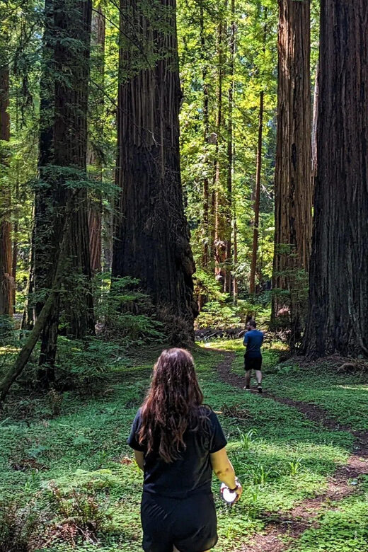 Prairie Creek State Park: Redwood Forest Hiking Tour - What the Tour Entails: A Gentle, Enlightening Walk