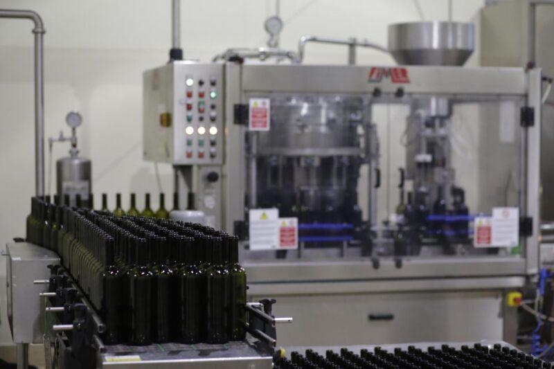 Pramaggiore: Ornella Bellia Winery Guided Tour & Tasting - Authentic Family-Run Experience in Veneto