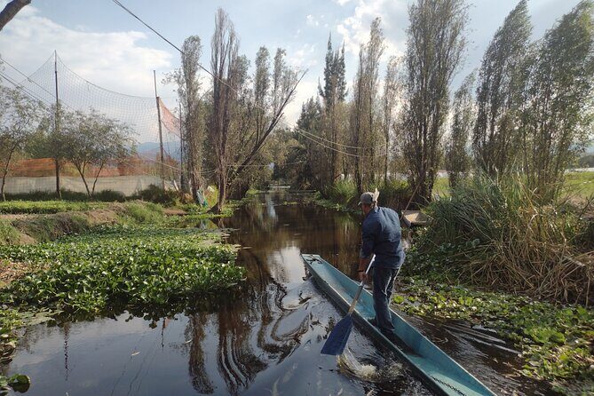 Pre-Hispanic Xochimilco and ajolotario. Private Ecotour. - Transportation, Food, and Overall Value