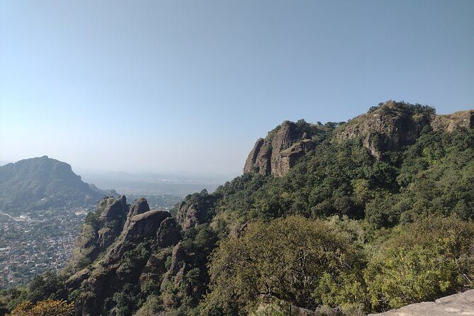 Pre-Hispanic Xochimilco and ajolotario. Private Ecotour. - Practical Details and What to Expect