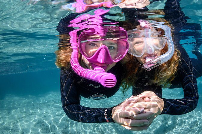 Pre-Season Special Manatee Snorkel Tour in Crystal River - Authentic Experiences and Additional Insights